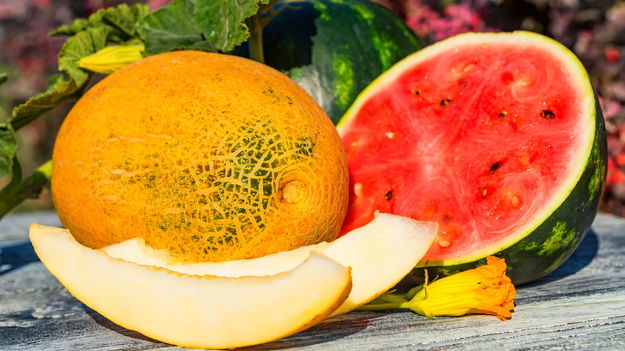 Die größten Melonen-Mythen einfach aufgeklärt | 94,3 RS2